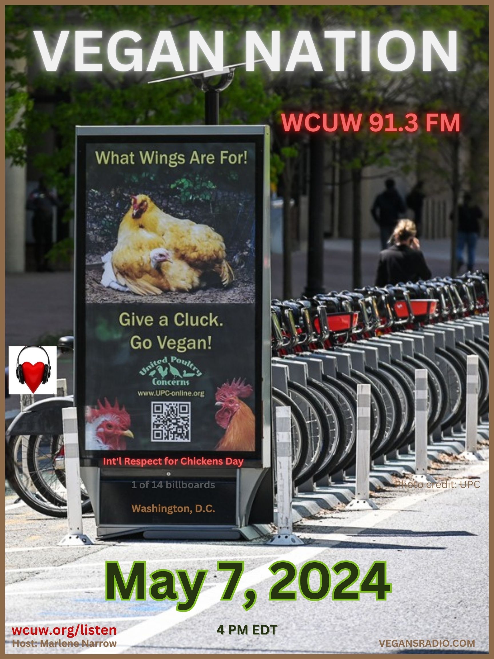 Int’l Respect for Chickens Day/Month – May 7, 2024 | Vegan Nation with ...